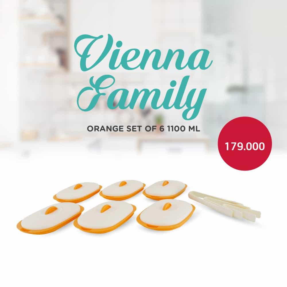 Jual Vienna Family Orange Set Of 6 1100 ML Wadah Saji Makanan Masakan ...