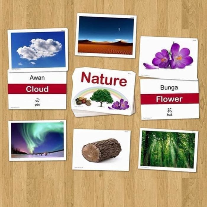 Jual Flashcards Nature - Mainan, Media & Hobi Termurah, Harga Promo
