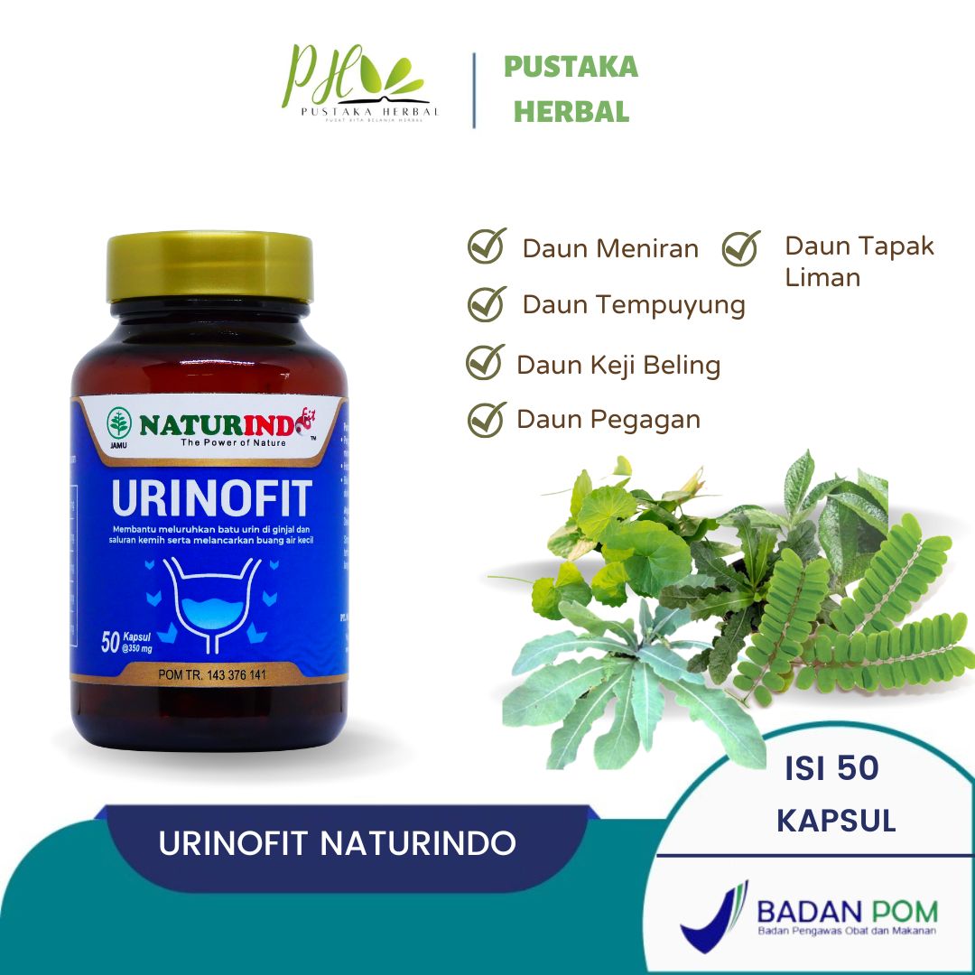 Jual UrinoFit Obat Batu Ginjal Herbal Naturindo Fit Original BPOM ...